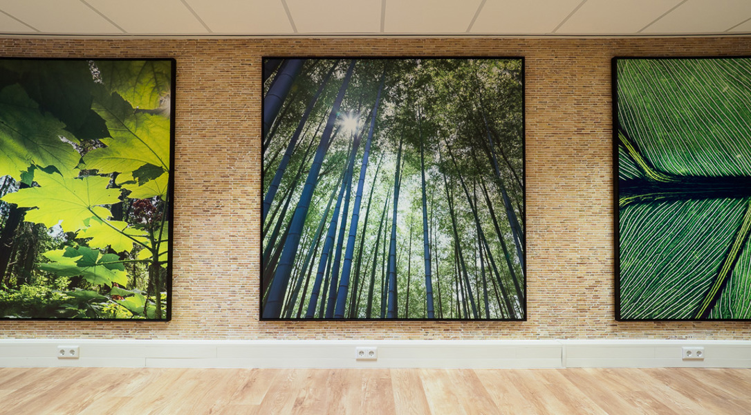 Berlagehuis Den Haag